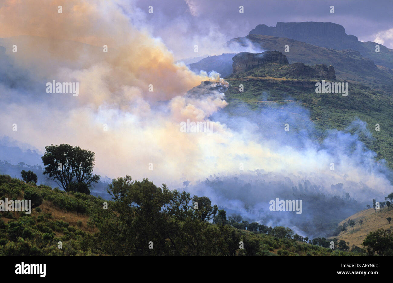 Dry season bushfires below the peak of Mount Elgon Kenya Stock Photo ...