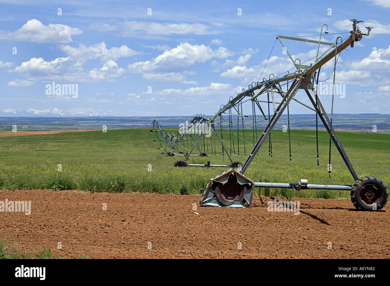 large crop sprinkler system sits idle on a green field bordered by red ...