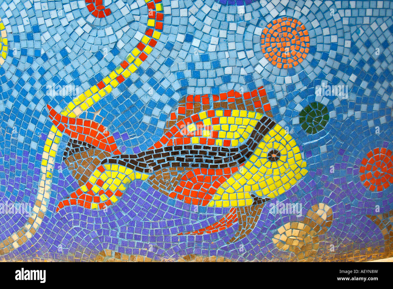 fish mosaic art on fountain pond in dahab sinai egypt Stock Photo - Alamy