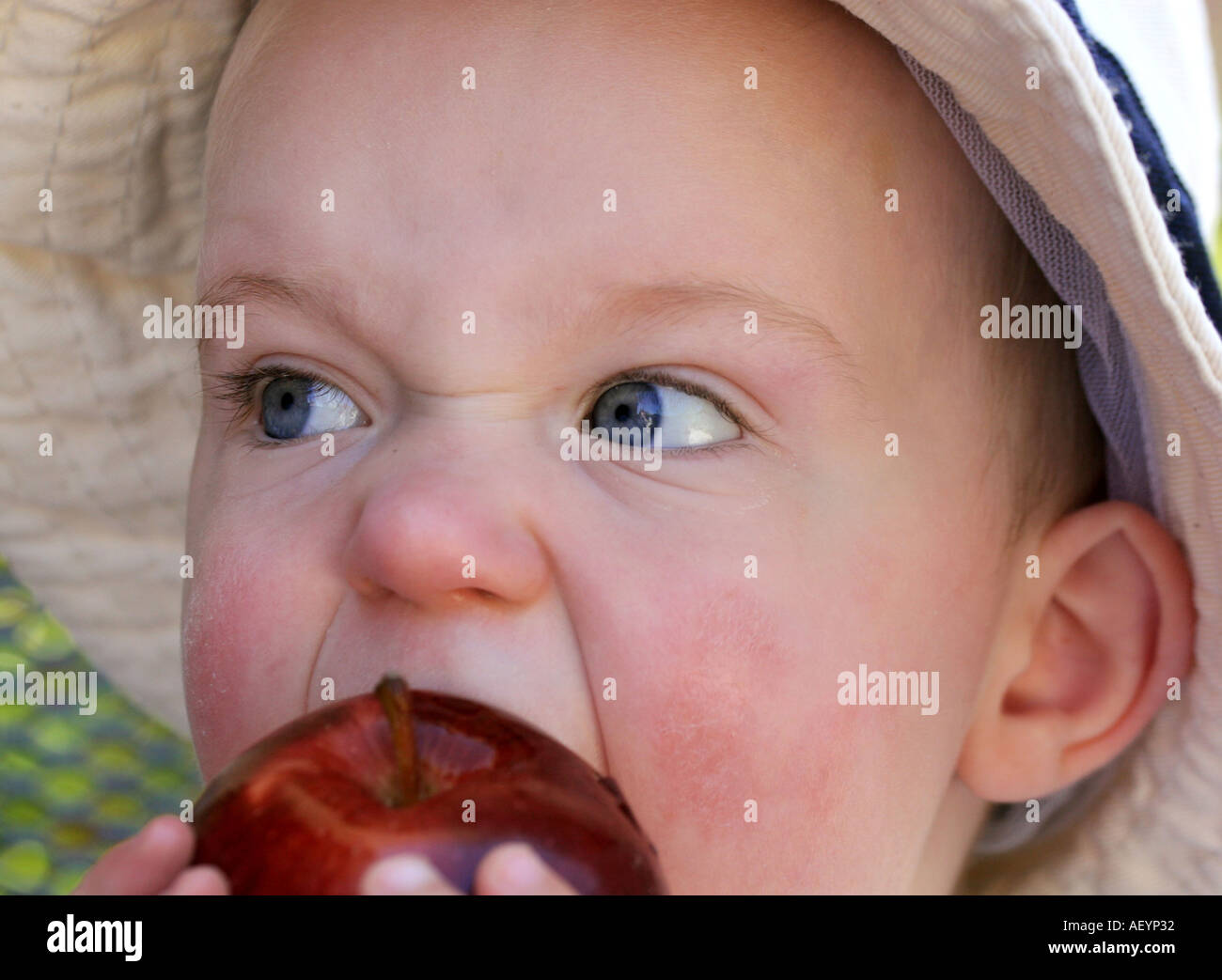 Healthy toddler eating an apple Stock Photo - Alamy