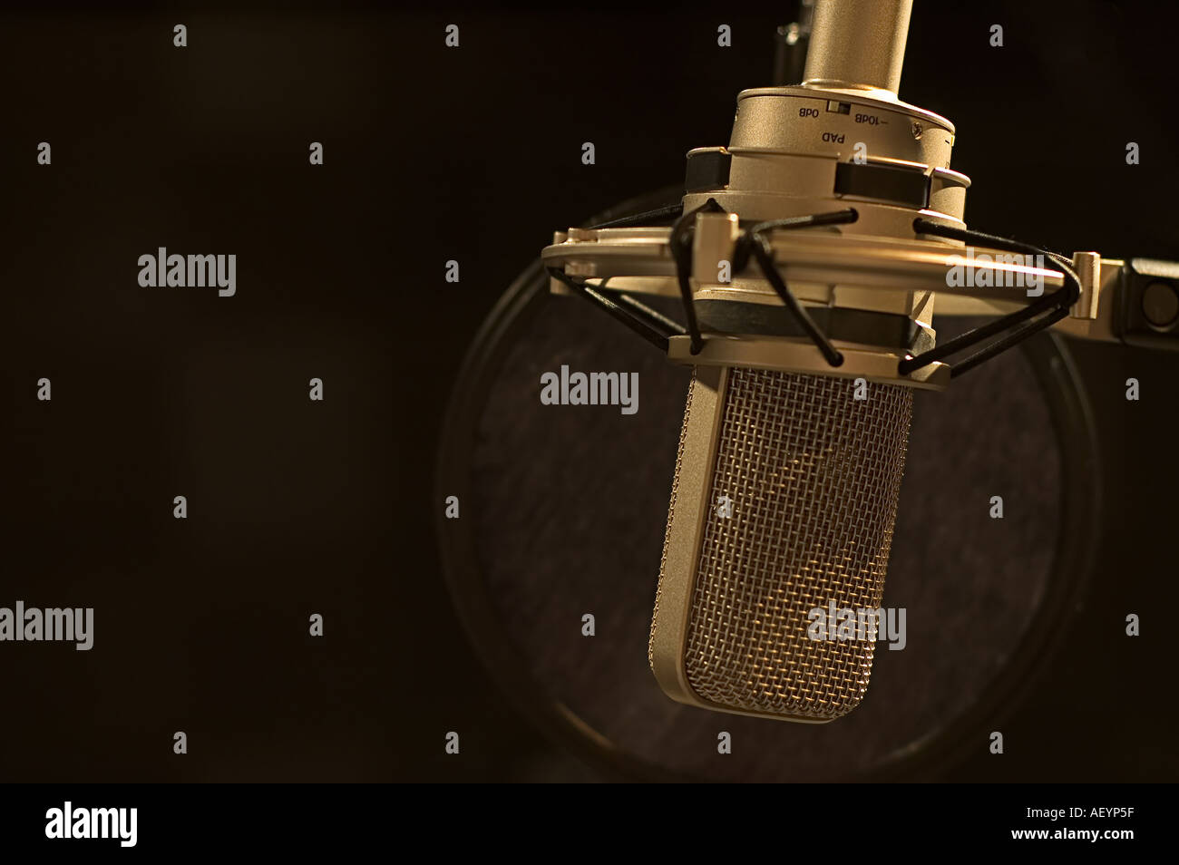 Studio microphone mounted in a spring loaded shock mount framed right ...