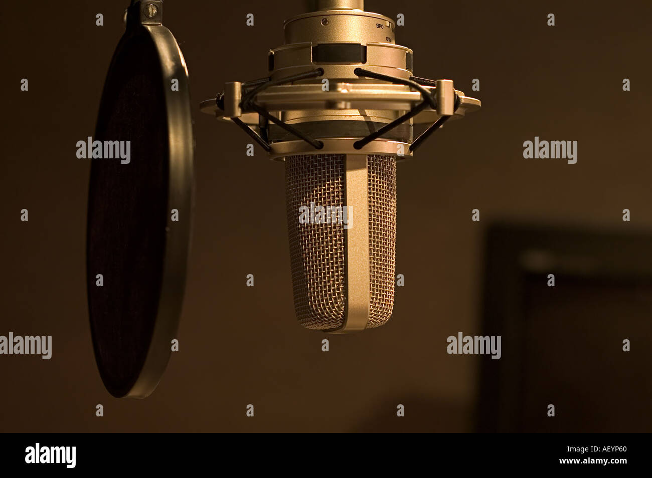 Studio microphone mounted in a spring loaded shock mount centered ...