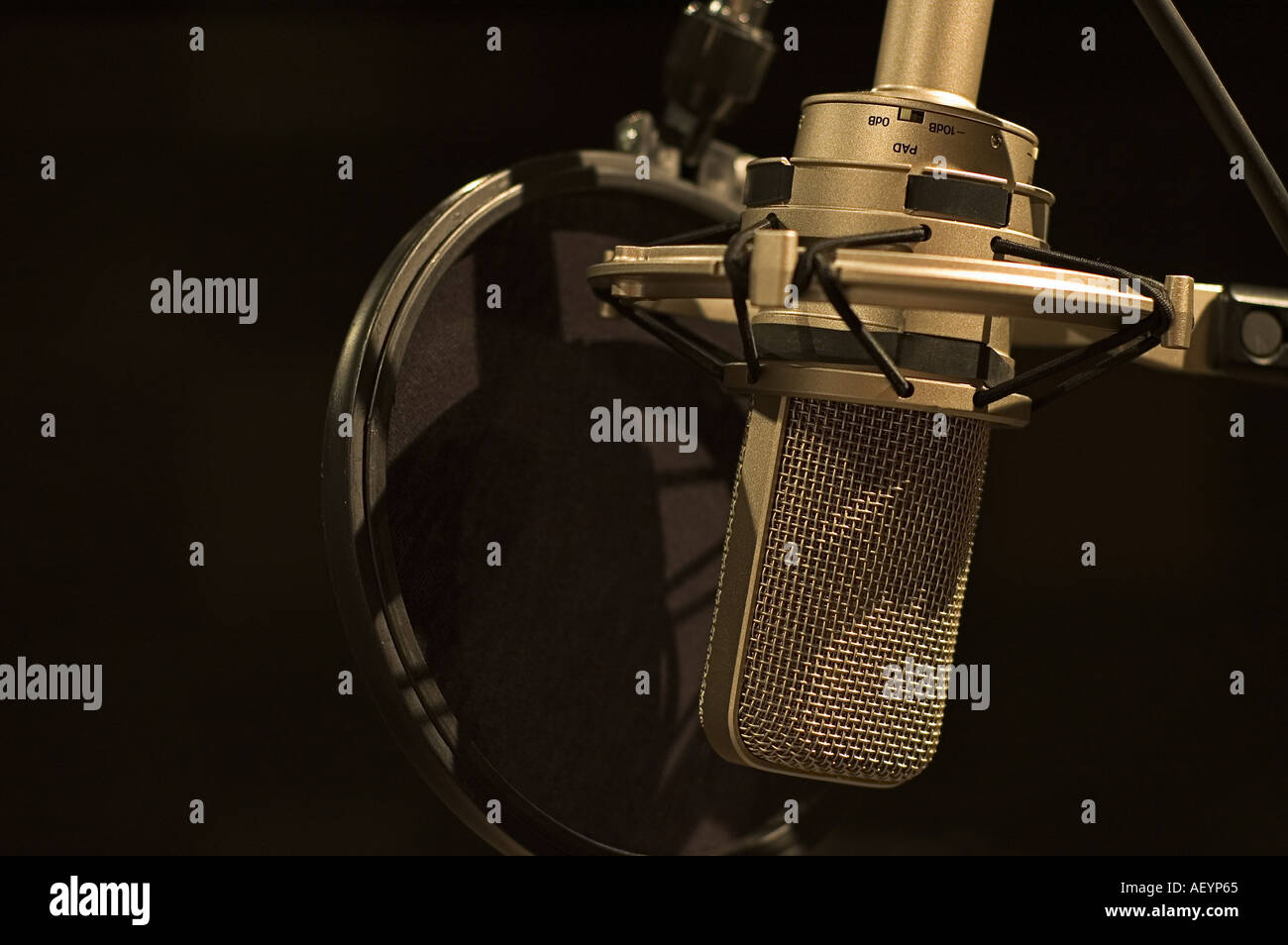 Studio microphone mounted in a spring loaded shock mount framed right ...