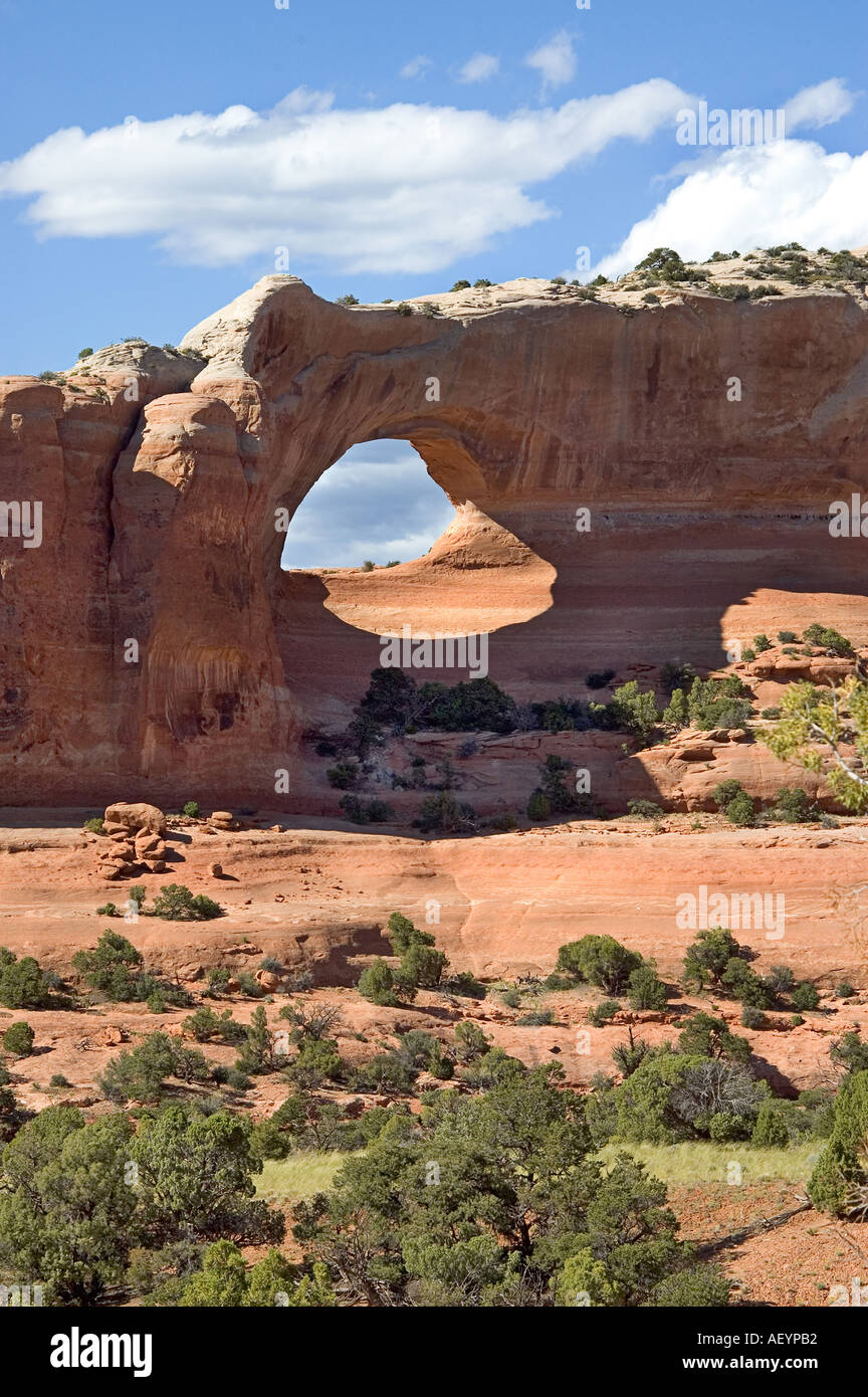 Wilsons arch hi-res stock photography and images - Alamy