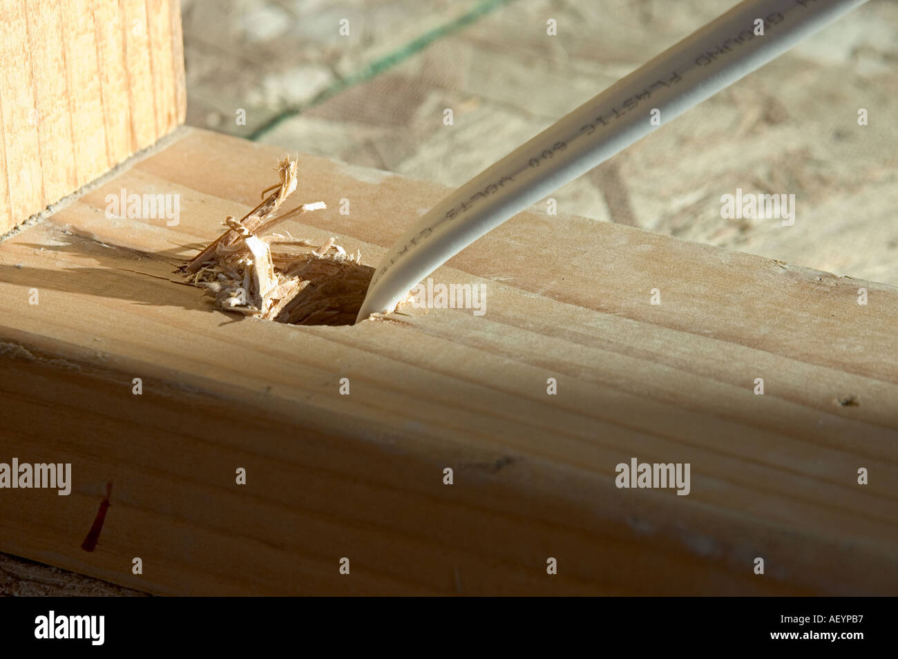 Electrical wiring comes through the floor and a 2x4 in this close up ...