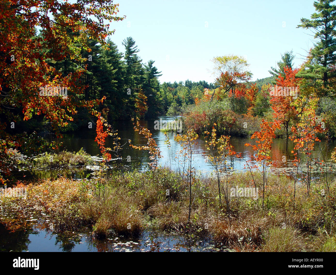 Fall colours New England USA Stock Photo - Alamy