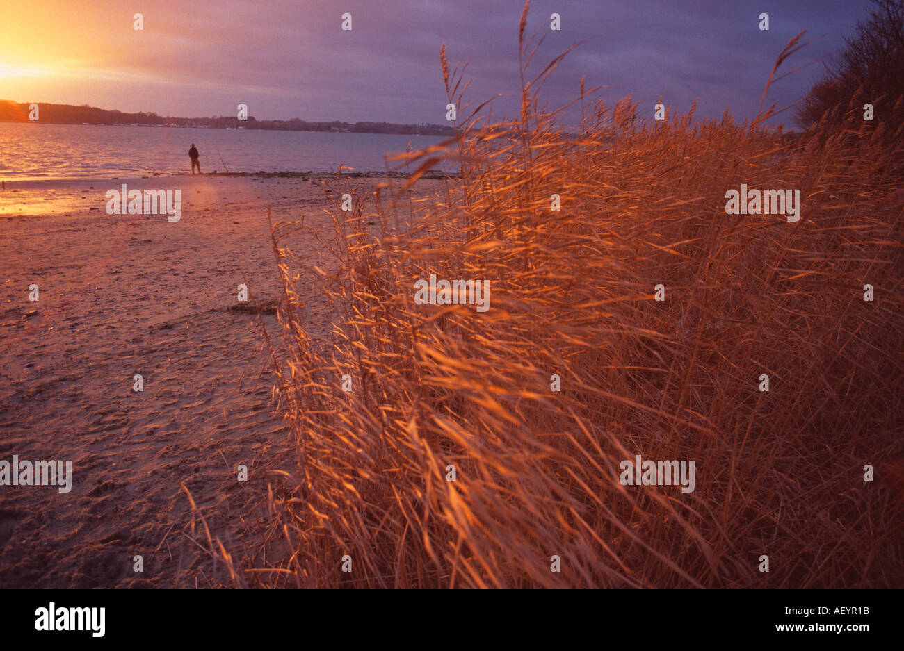 Nacton suffolk hi-res stock photography and images - Alamy