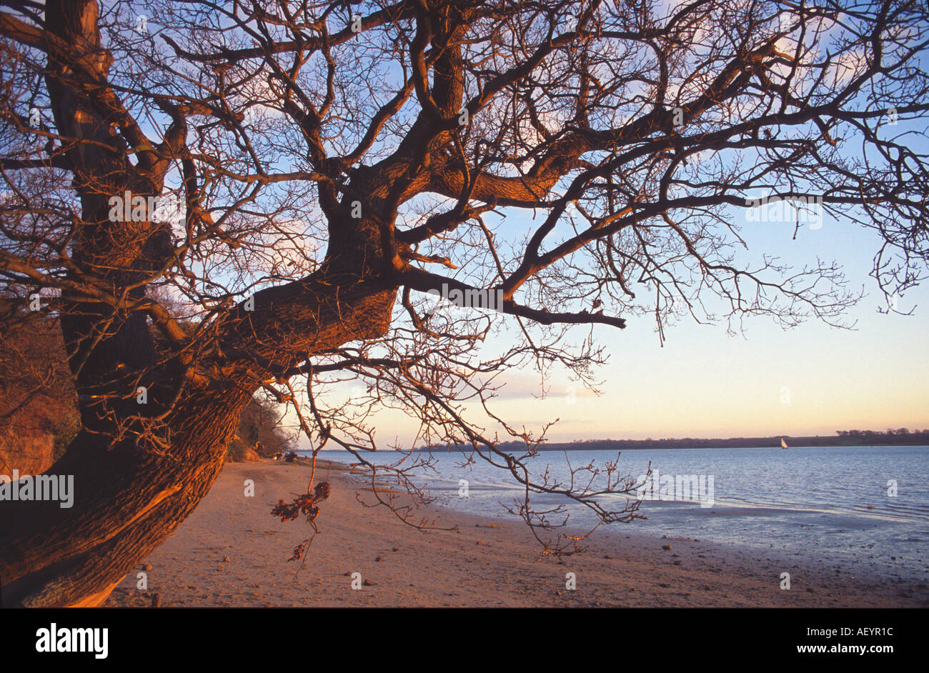 Nacton in suffolk hi-res stock photography and images - Alamy