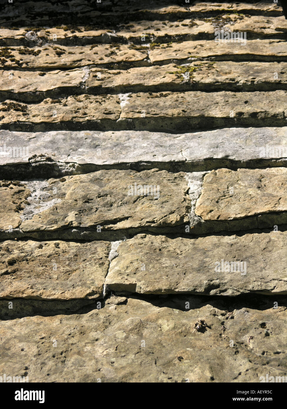 Traditional stone roof tiles Dorset UK Stock Photo - Alamy