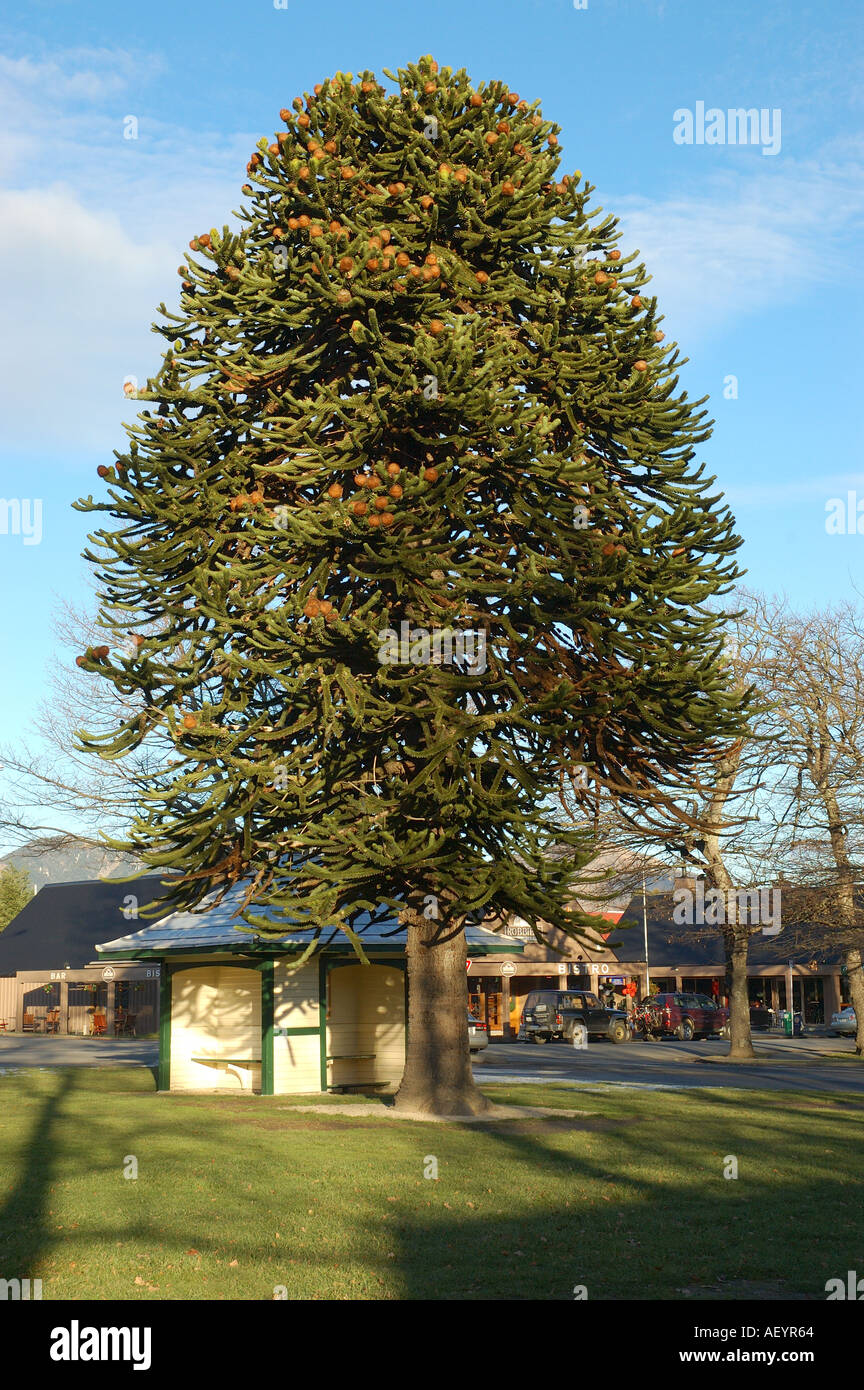 Hanmer springs thermal pools and spa hi-res stock photography and ...