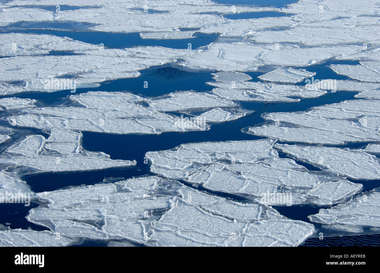 Pancake ice antarctica hi-res stock photography and images - Alamy