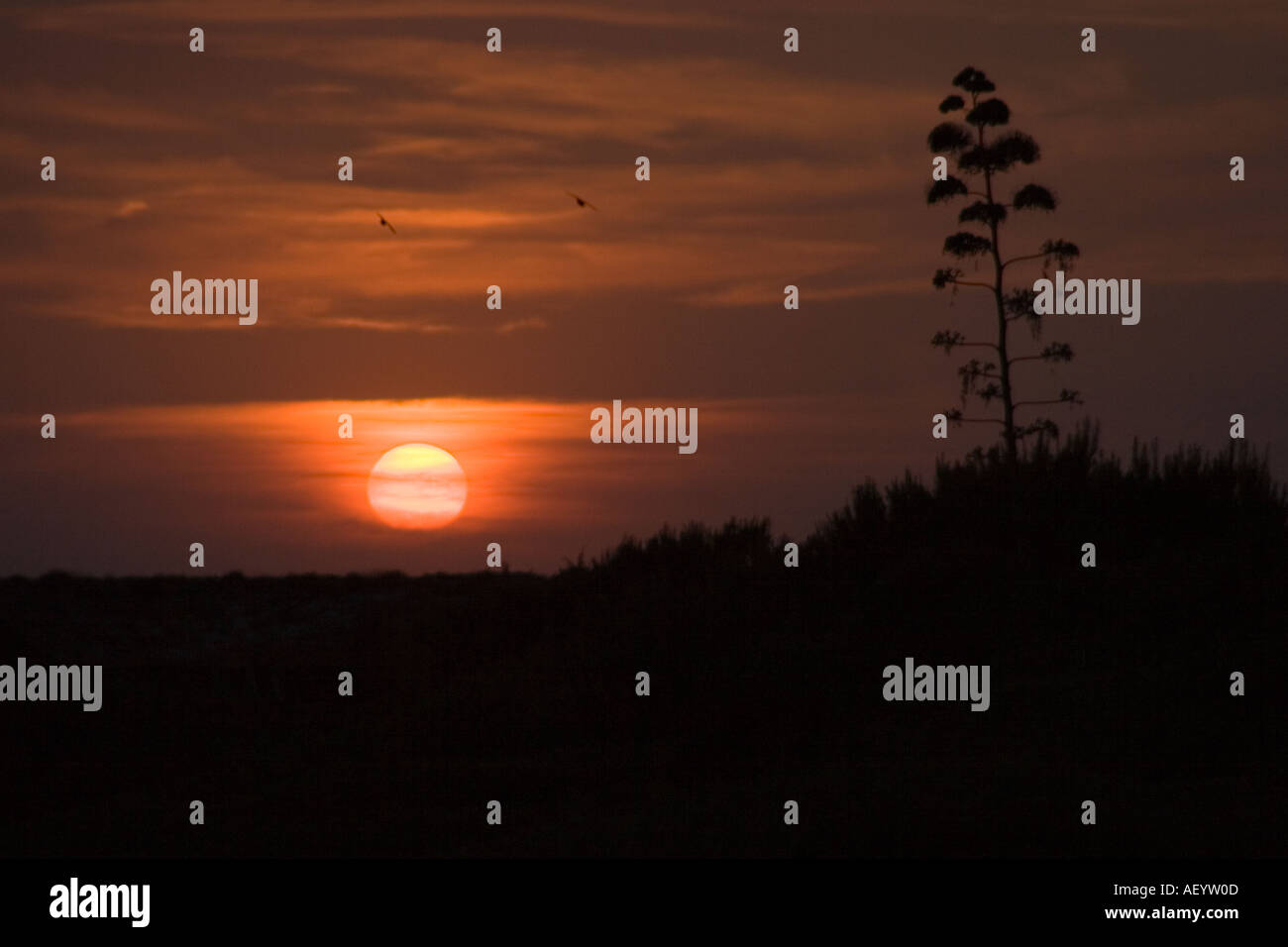 Menorcan sunset hi-res stock photography and images - Alamy