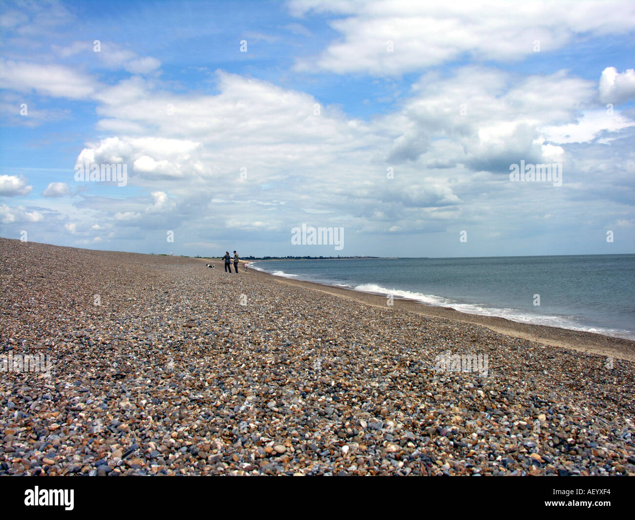 THE PEBBLE BEACH DUNWICH SUFFOLK ENGLAND UK EUROPE Stock Photo - Alamy