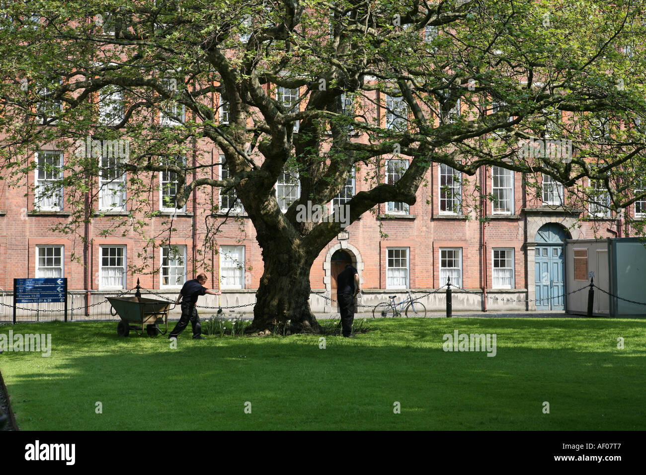 Grounds of Trinity College Dublin Stock Photo - Alamy
