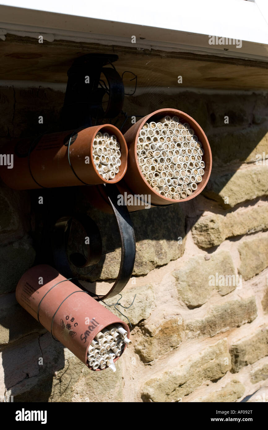 Insect hotel home with hollow tubes of varying sizes to attract bees ...
