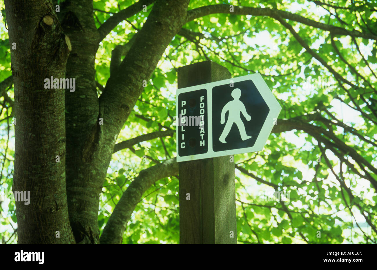 Green and white painted sign stating Public footpath with iconic image ...