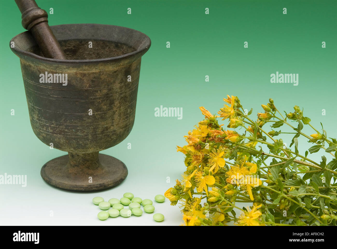 blossoms of St John's wort Hypericum perforatum with pills and old ...