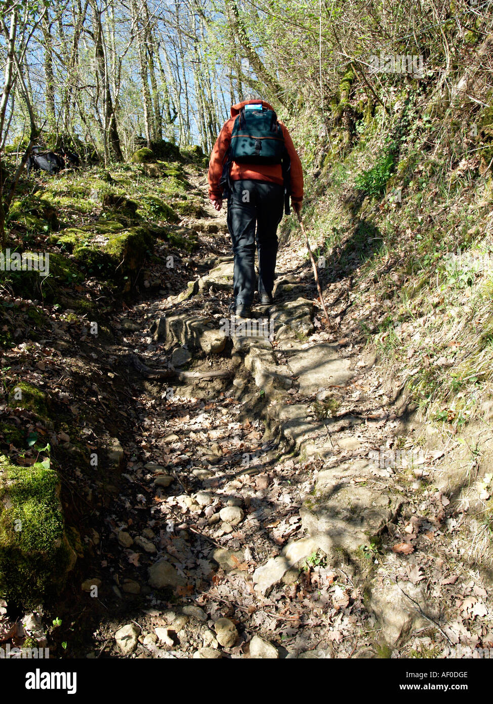 MR hiking walking on a treck path over stones and scree in a forest in ...