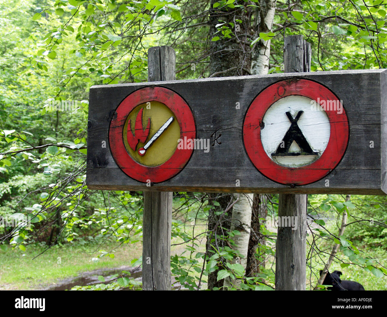 wooden prohibition sign information board in forest no fire and no ...