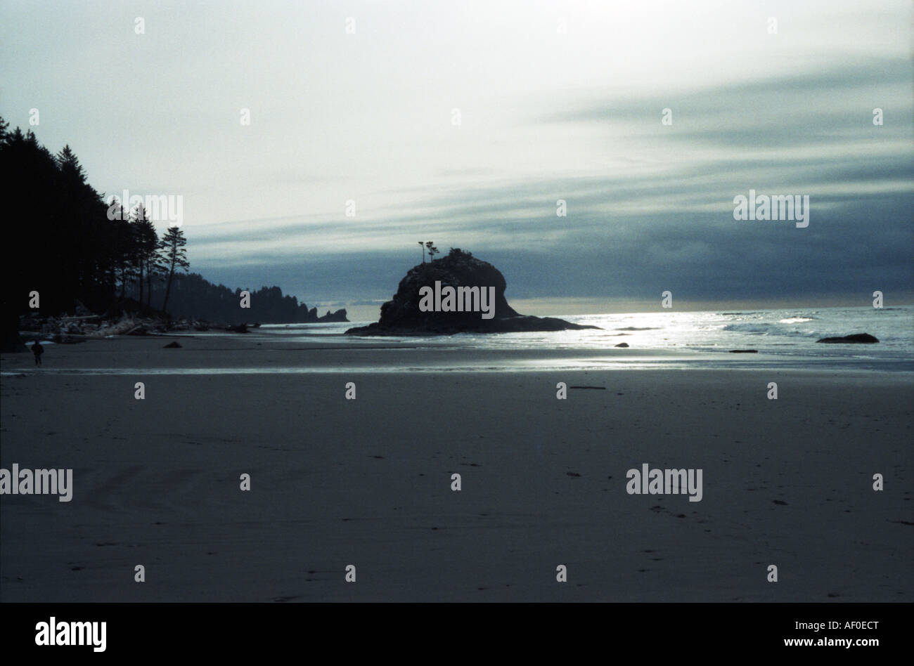 Second beach, Washington State Stock Photo - Alamy