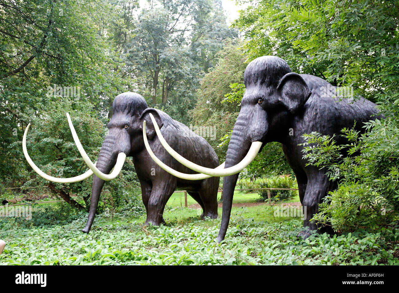 Life size model woolly mammoths Stock Photo - Alamy