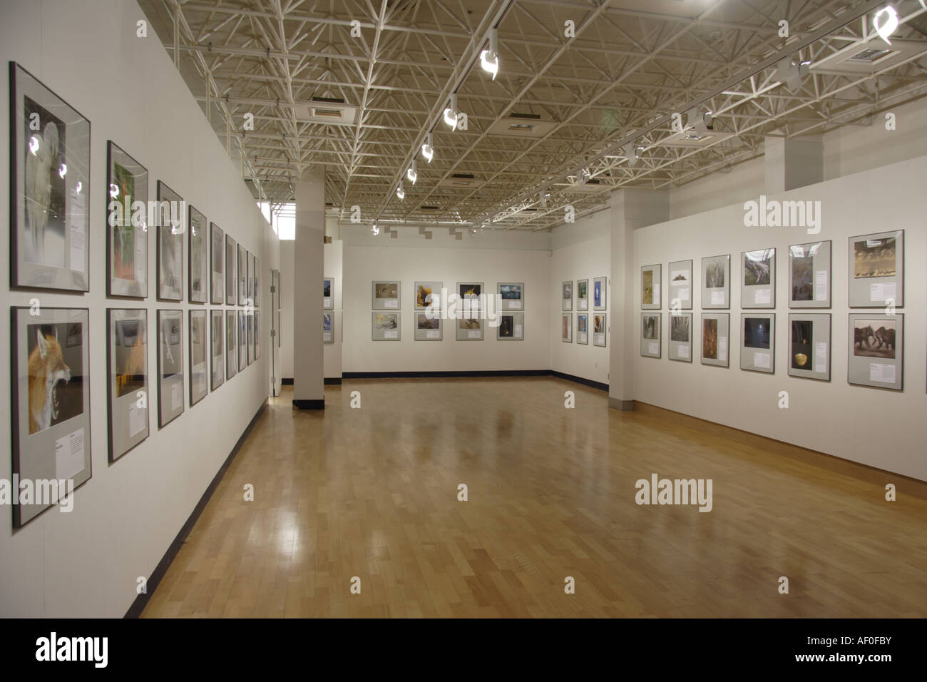 Art Gallery Aberystwyth Arts Centre West Wales UK Stock Photo - Alamy