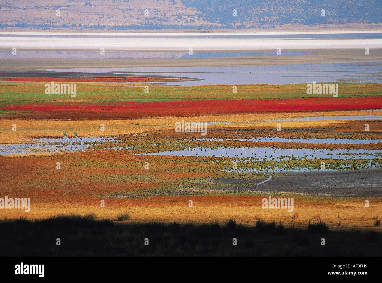 Fall colors in Acigol Lake, Denizli Turkey Stock Photo - Alamy