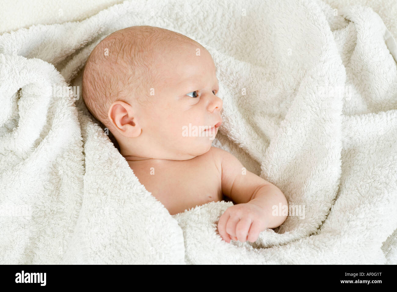 One month old hi-res stock photography and images - Alamy