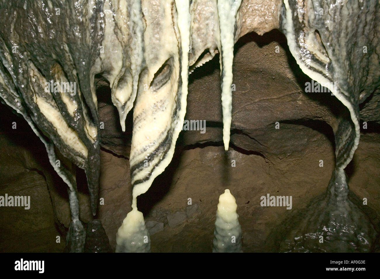 formations in the newly discovered Notts II cave on leck fell yorkshire ...