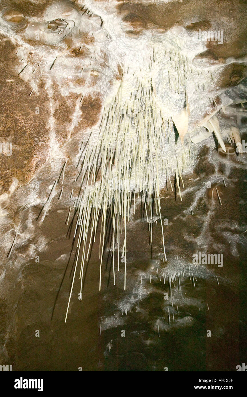 straw stalagmites in the roof of the newly discovered Notts II pot on ...