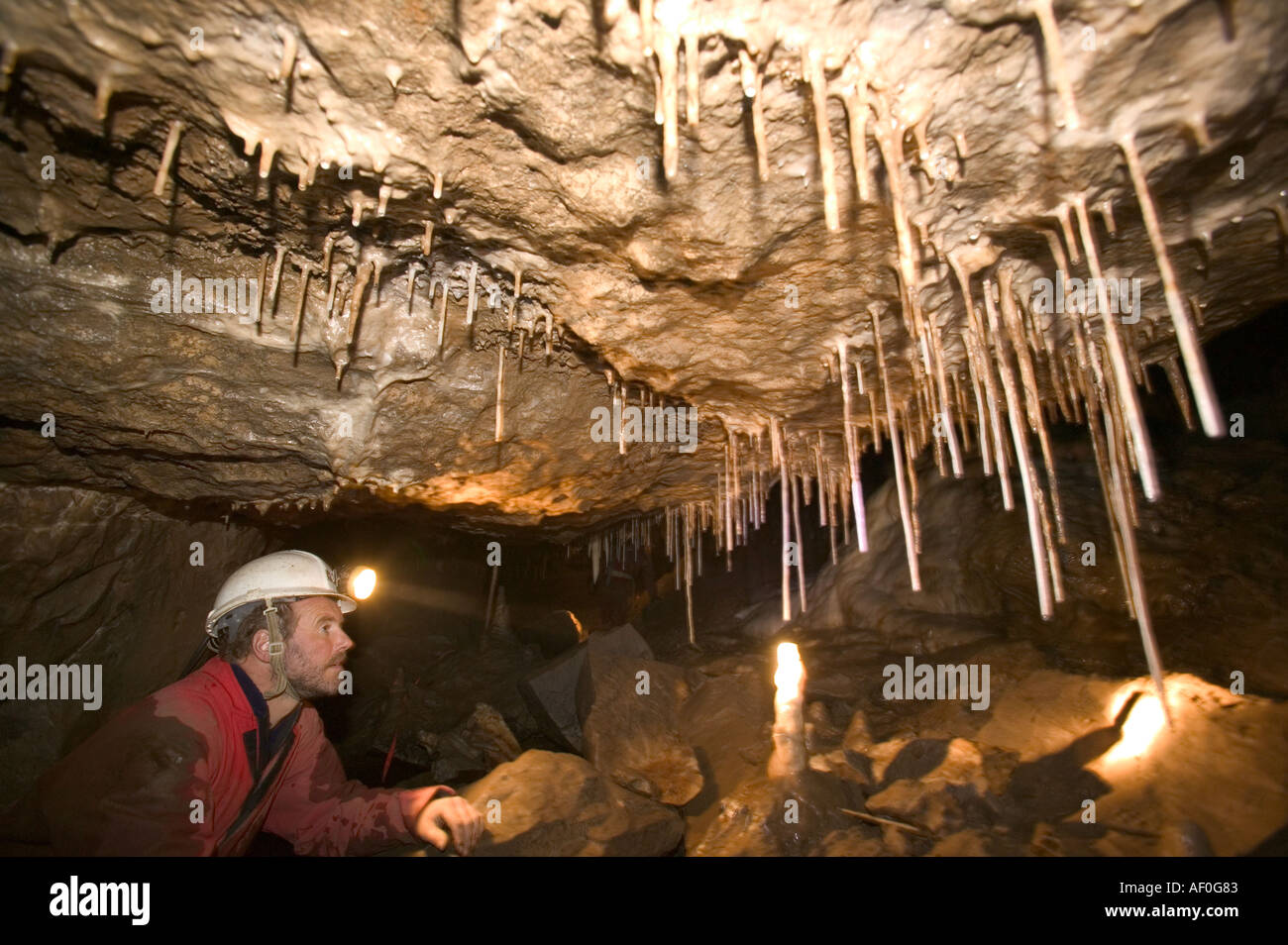 Pot holer hi-res stock photography and images - Alamy