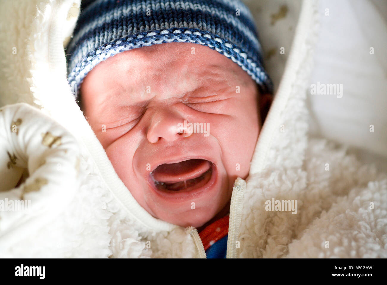 Two weeks old hi-res stock photography and images - Alamy