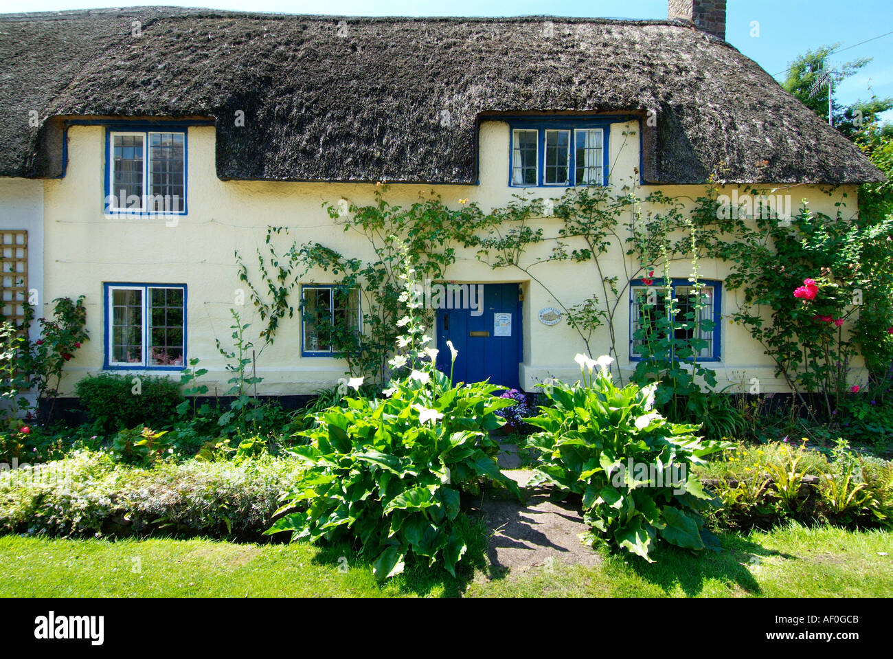 Typical english thatched stone country hi-res stock photography and ...