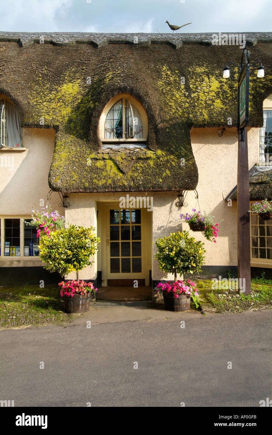 Luccombe village Thatch thatched cottage Somerset England UK GB EU ...