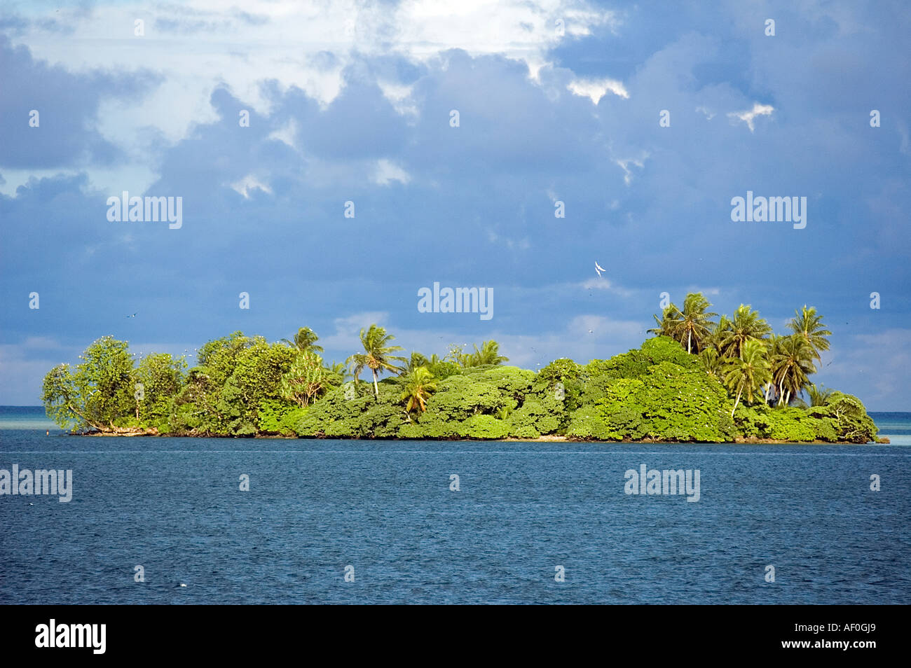 Small island along entrance of Palmyra Atoll Stock Photo - Alamy