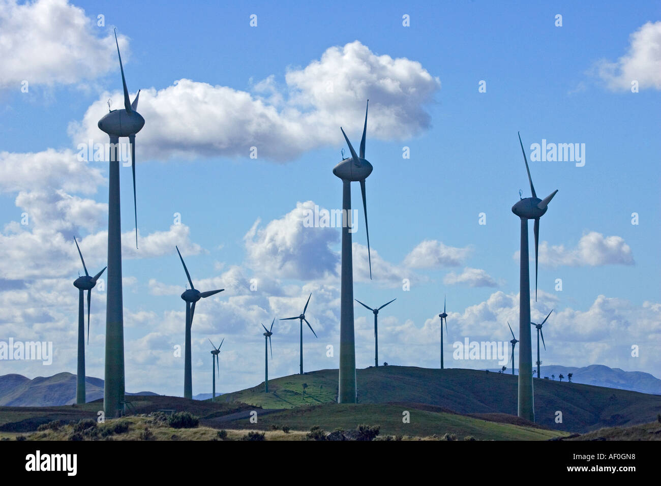 Hau Nui Wind Farm near Martinborough Wairarapa North Island New Zealand ...