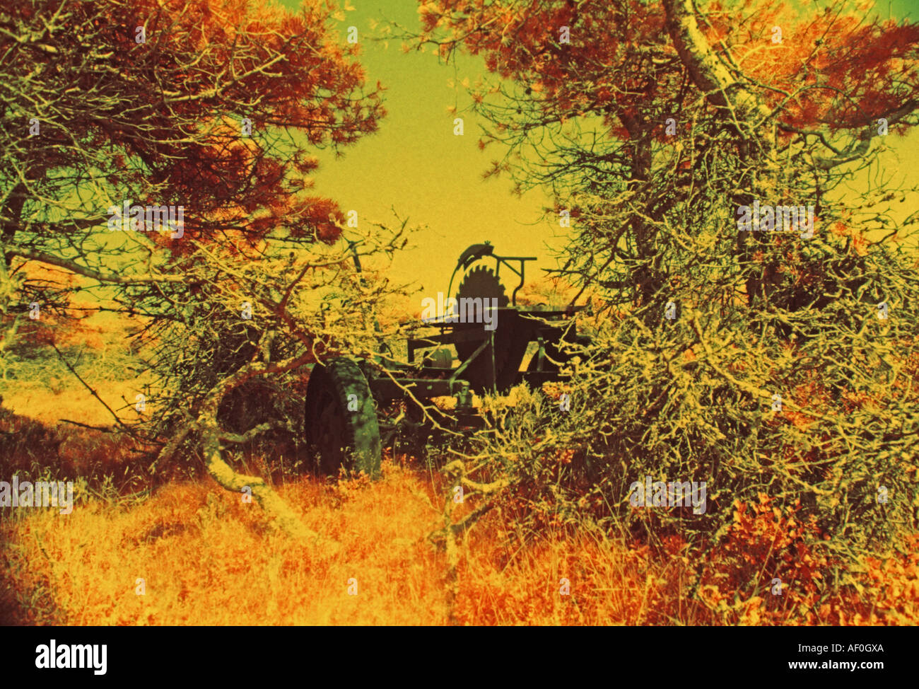 Infrared Colour Photography, Trees and Abandoned Machinery, Exmoor ...