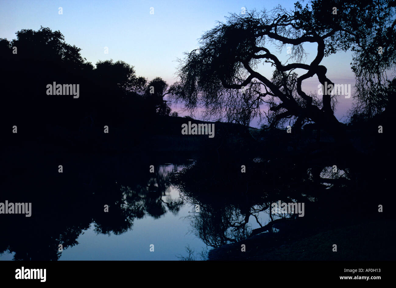 Pond california hi-res stock photography and images - Alamy