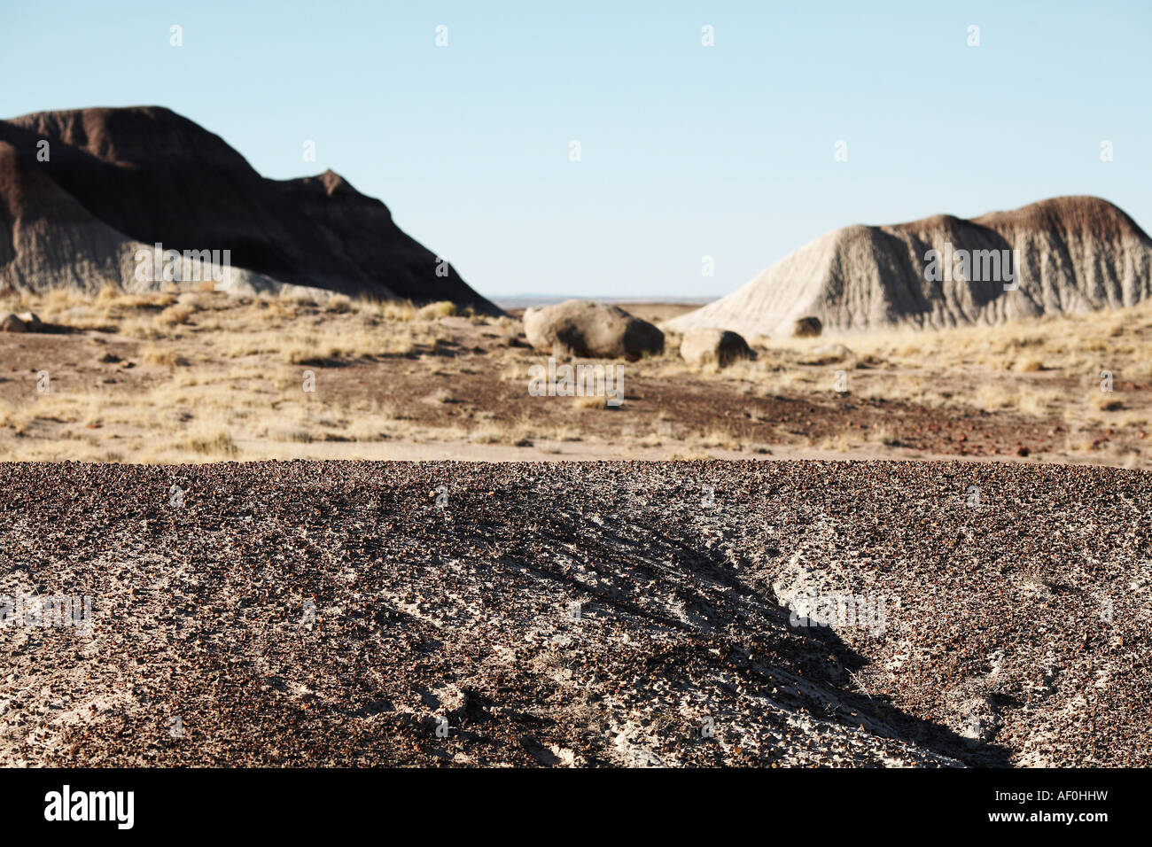 High Elevation Desert Hills at Petrified Forest National Park, Holbrook ...