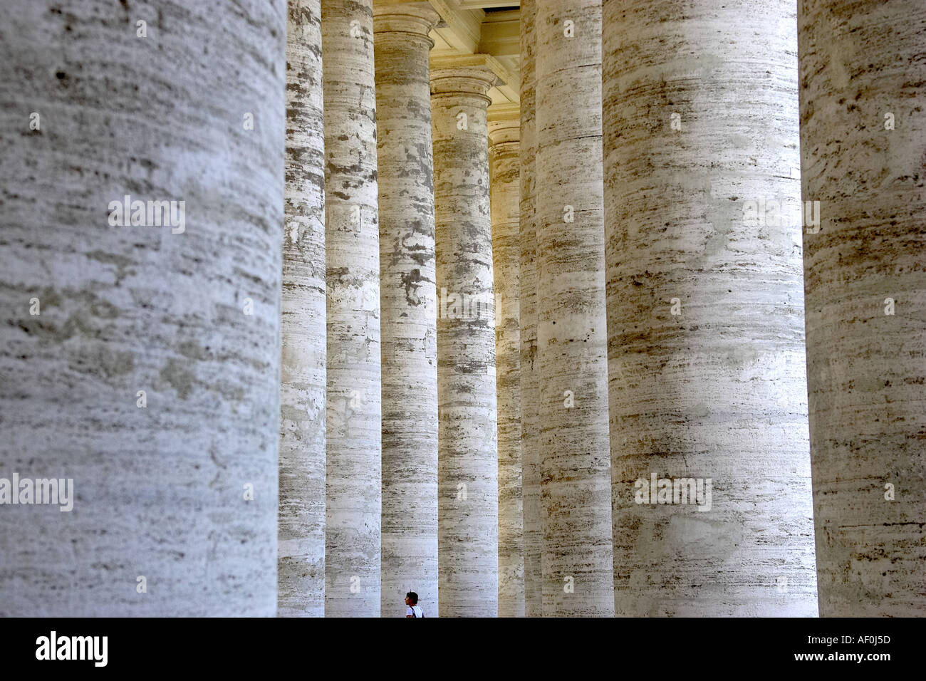 Columns in St Peters Square Vatican City Columns One Person ...