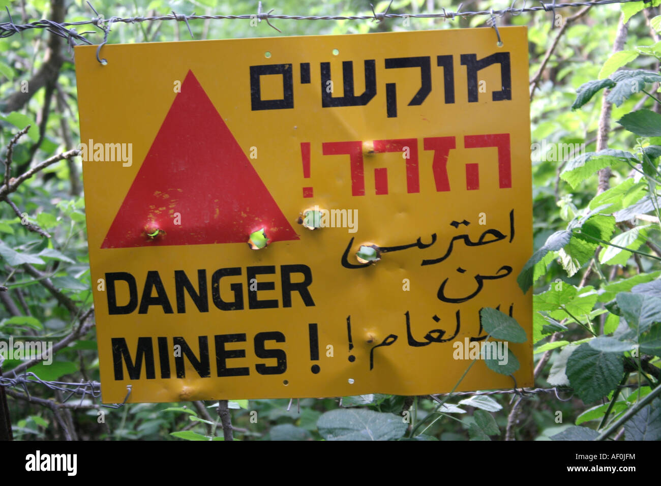 danger mine sign warning in forest Stock Photo - Alamy