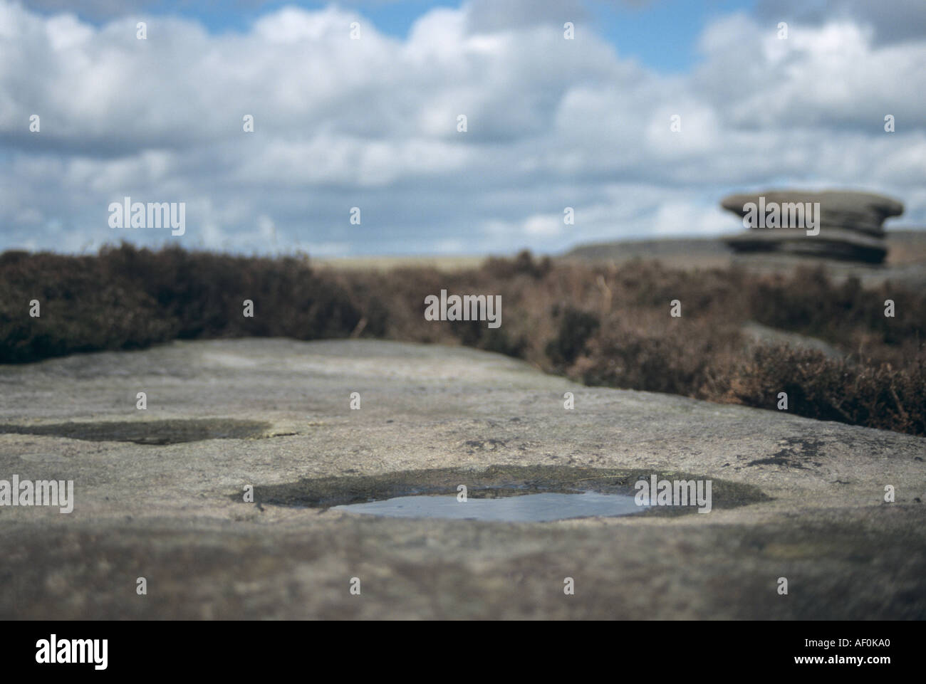 Small rain water rock pool Peak District England Stock Photo - Alamy