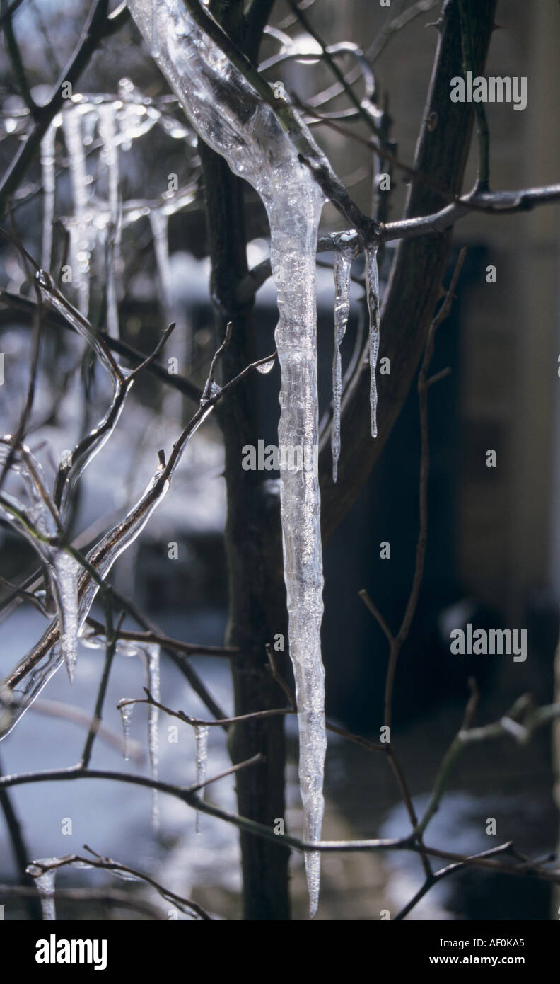 Pointed icicle hi-res stock photography and images - Alamy