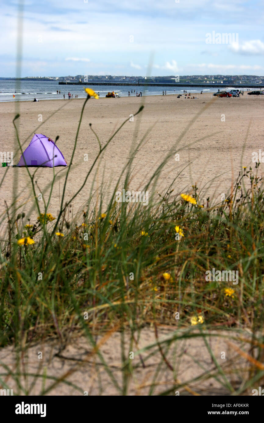 in the sand dunes at Castlerock beach, County Londonderry, Northern ...