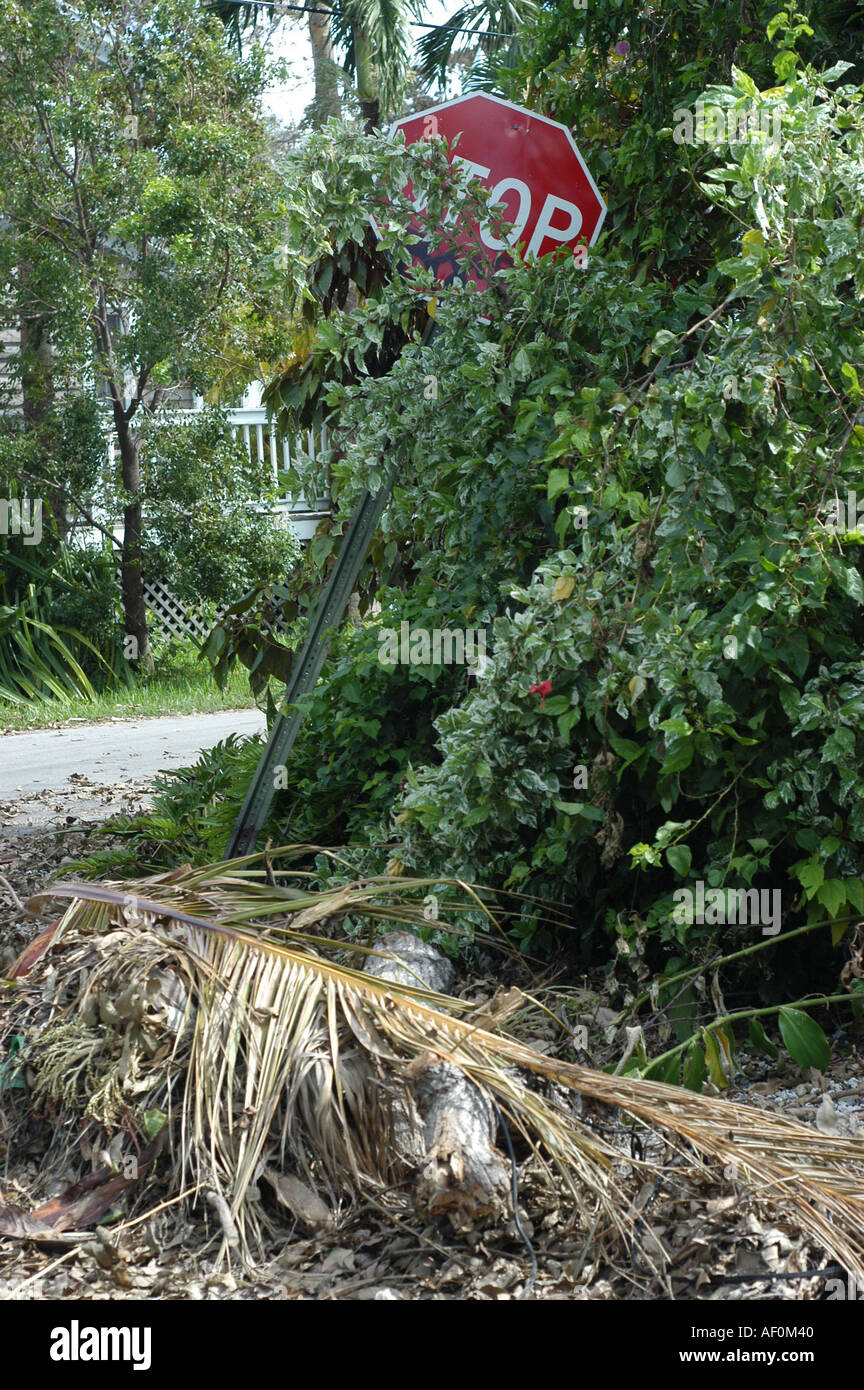 Stop Sign Knocked out after the passage of Hurricane Denny's Key West ...
