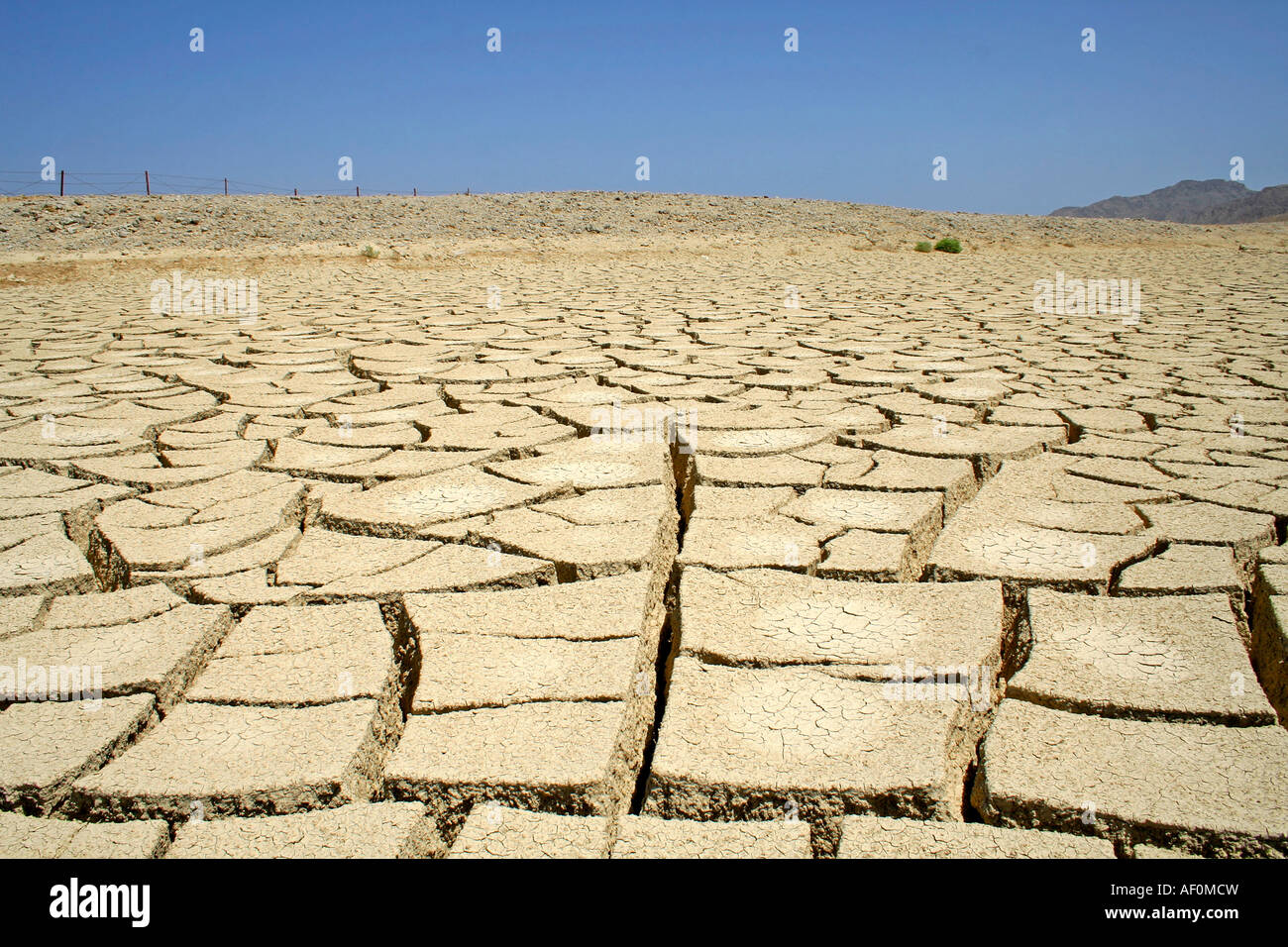 dry desert in red sea region sinai egypt Stock Photo - Alamy