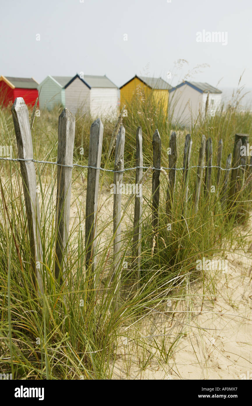 seaside fence used to catch sand to help in plant growth Man helping ...