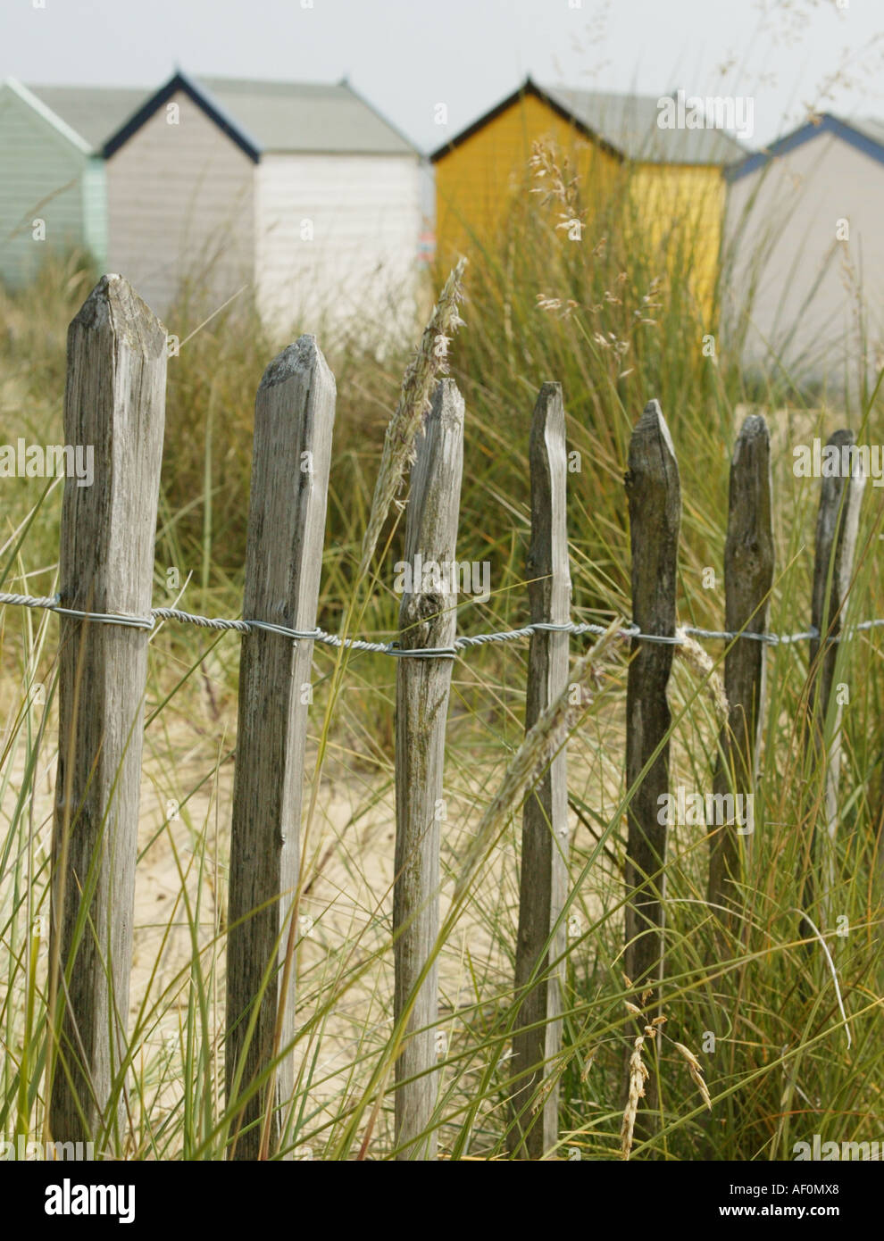 seaside fence used to catch sand to help in plant growth Man helping ...