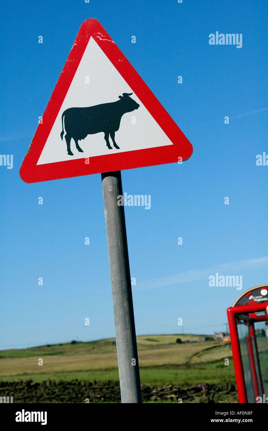 Beware bull warning sign on hi-res stock photography and images - Alamy