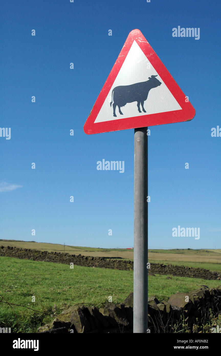 Road warning sign beware cows hi-res stock photography and images - Alamy